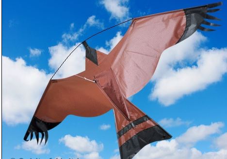 Economy Hawk Kite with 6.5 metre flying line – Hawk Kites